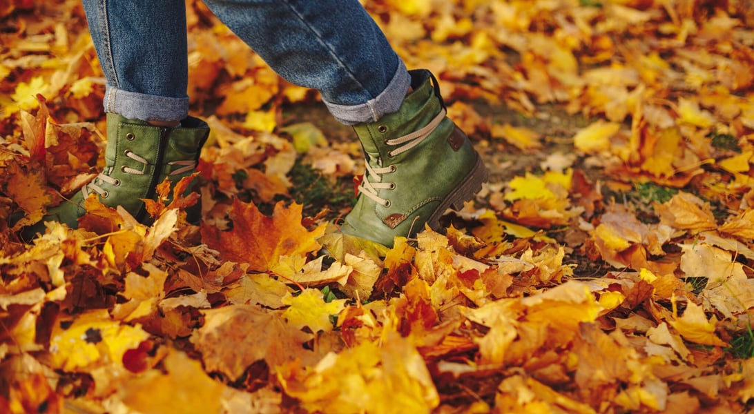 National Garden Month (April 2026) | Days Of The Year