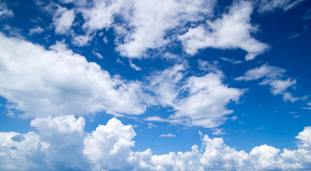 Puffin Day (April 14th) | Days Of The Year