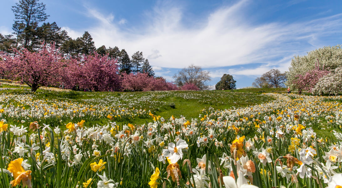 National Holidays on March 20th, 2026 | Days Of The Year