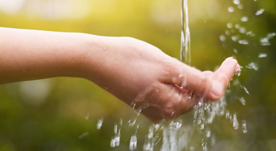 National Holidays on March 8th, 2025 | Days Of The Year