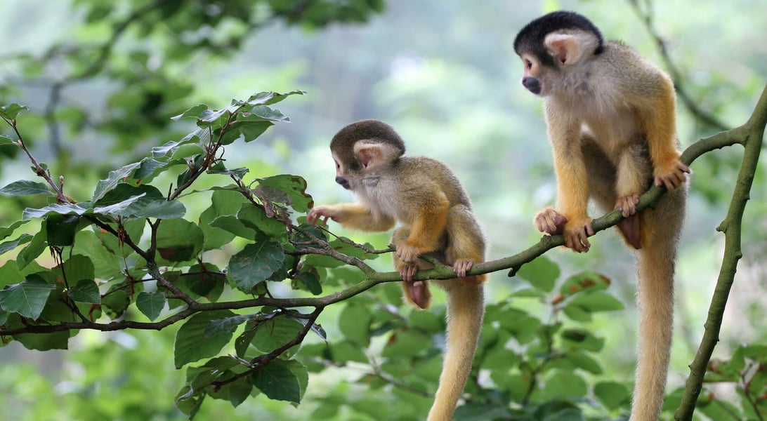 National Holidays on December 14th, 2025 | Days Of The Year