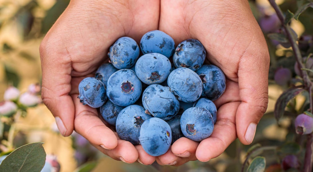 National Holidays on July 13th, 2024 | Days Of The Year