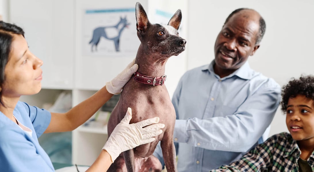 National Holidays on November 7th, 2025 | Days Of The Year