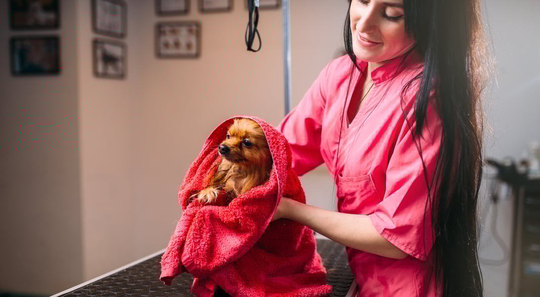 National Gummi Bear Day (April 27th) | Days Of The Year