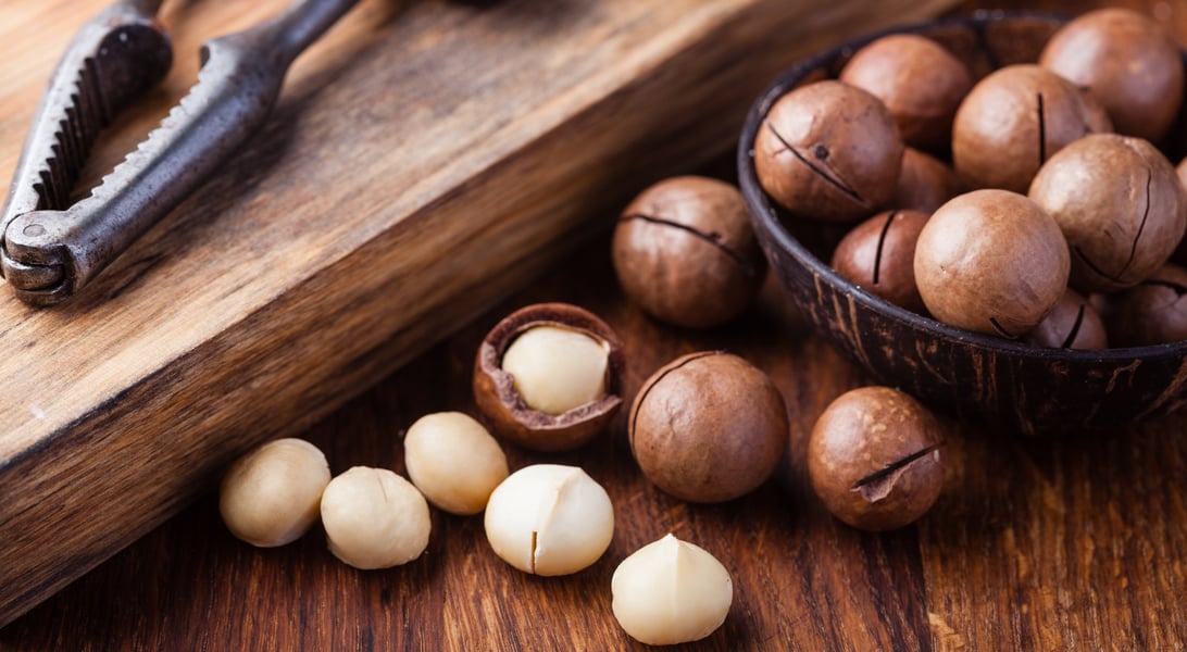 National Macadamia Nut Day (September 4th) | Days Of The Year