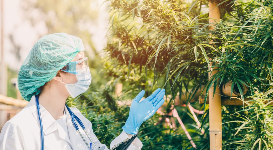 National Holidays on November 2nd, 2025 | Days Of The Year