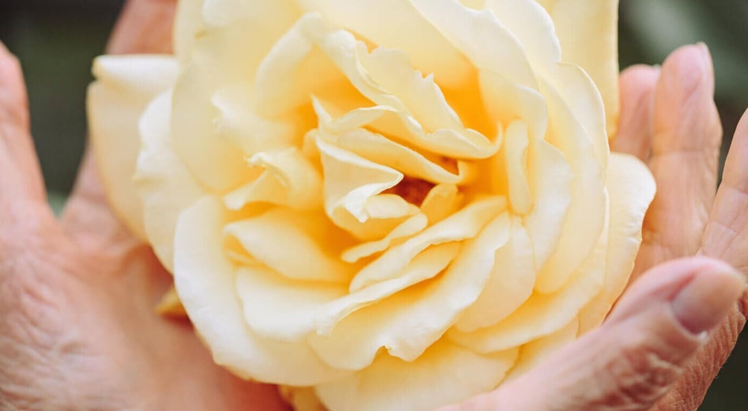 National Holidays on April 29th, 2026 | Days Of The Year