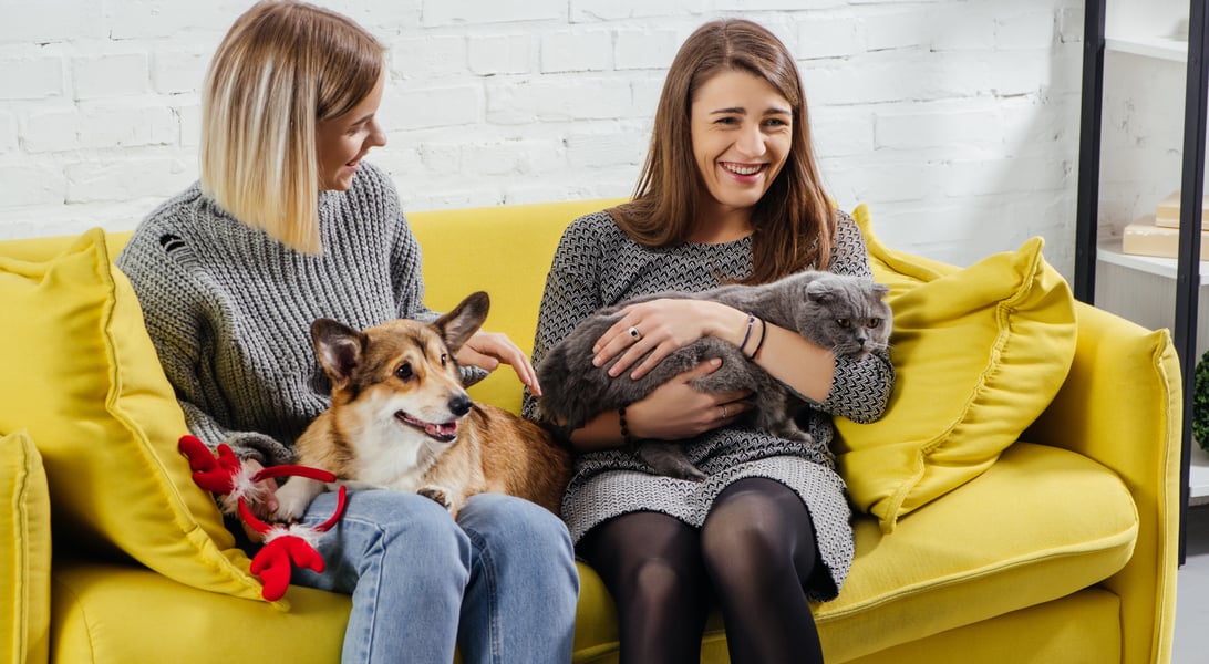 National Black Dog Day (October 1st) | Days Of The Year
