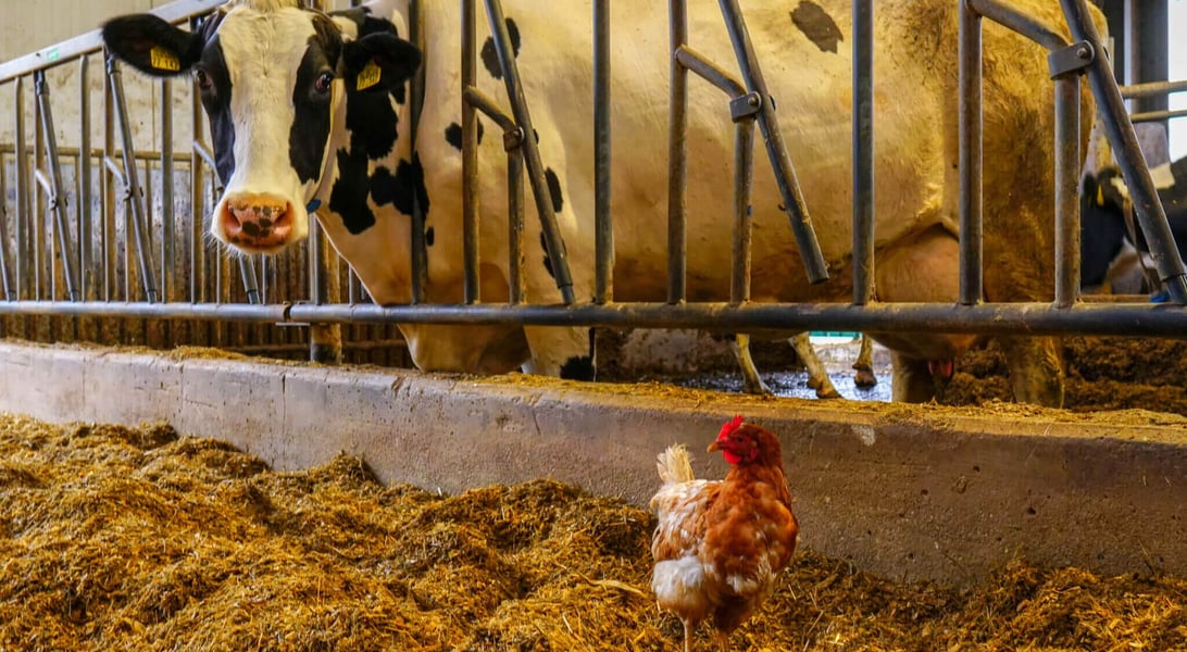 National Holidays on April 21st, 2025 | Days Of The Year