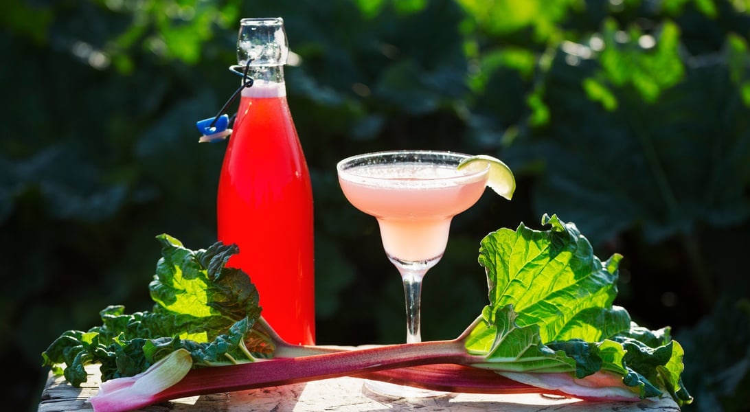 National Cosmopolitan Day (May 7th) | Days Of The Year