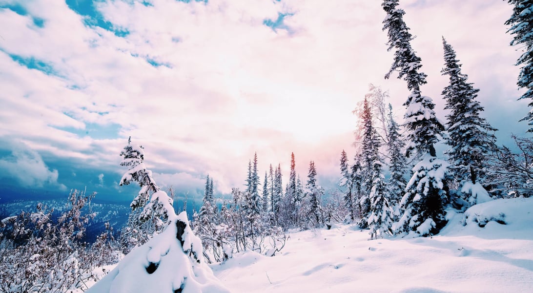 National Dimples Day (July 9th) | Days Of The Year