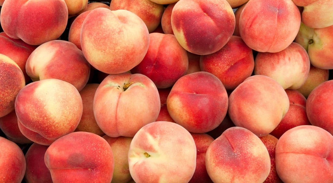 National Holidays on August 12th, 2026 | Days Of The Year