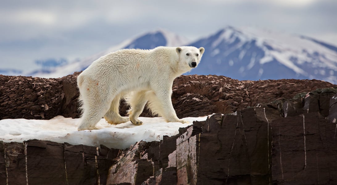 National Holidays on April 26th, 2026 | Days Of The Year