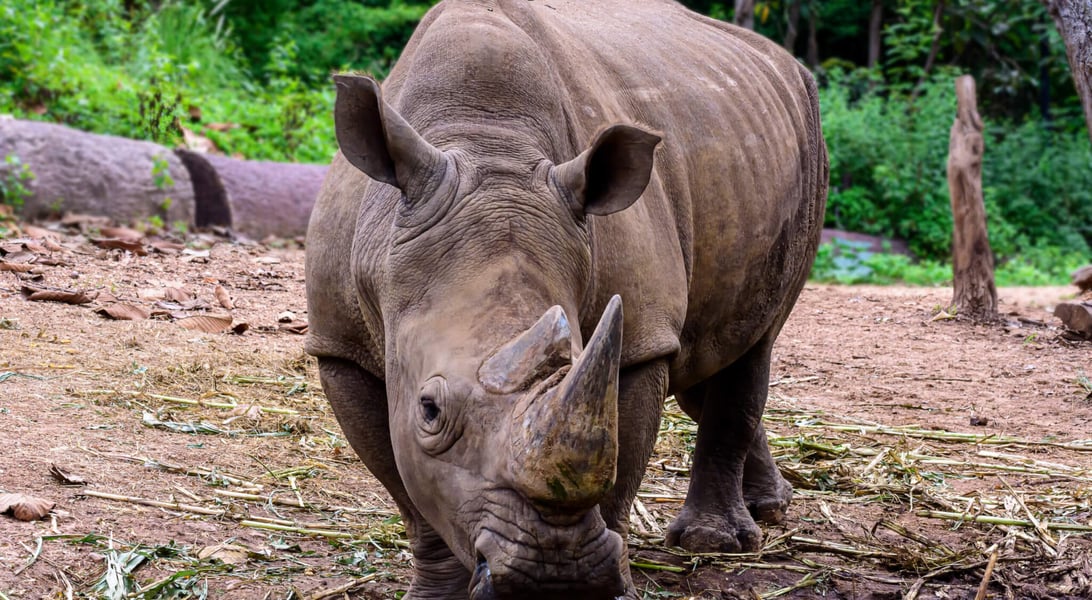 National Lager Day (December 10th) | Days Of The Year
