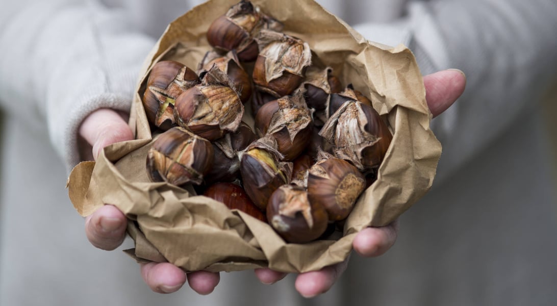 National Macadamia Nut Day (September 4th) | Days Of The Year