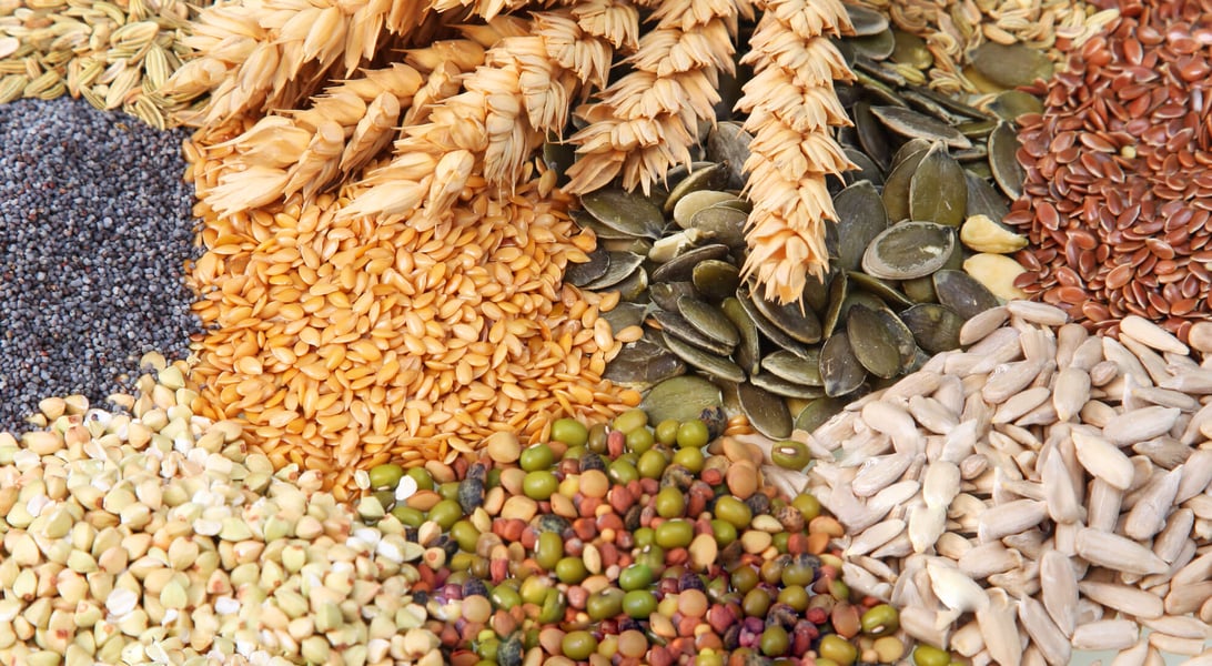 National Holidays on January 25th, 2025 | Days Of The Year