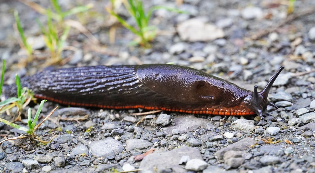 National Holidays on May 28th, 2026 | Days Of The Year