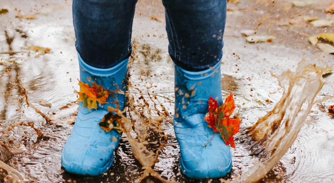 National Holidays on November 7th, 2025 | Days Of The Year