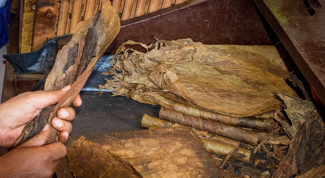 National Poop Day (February 10th, 2025) | Days Of The Year