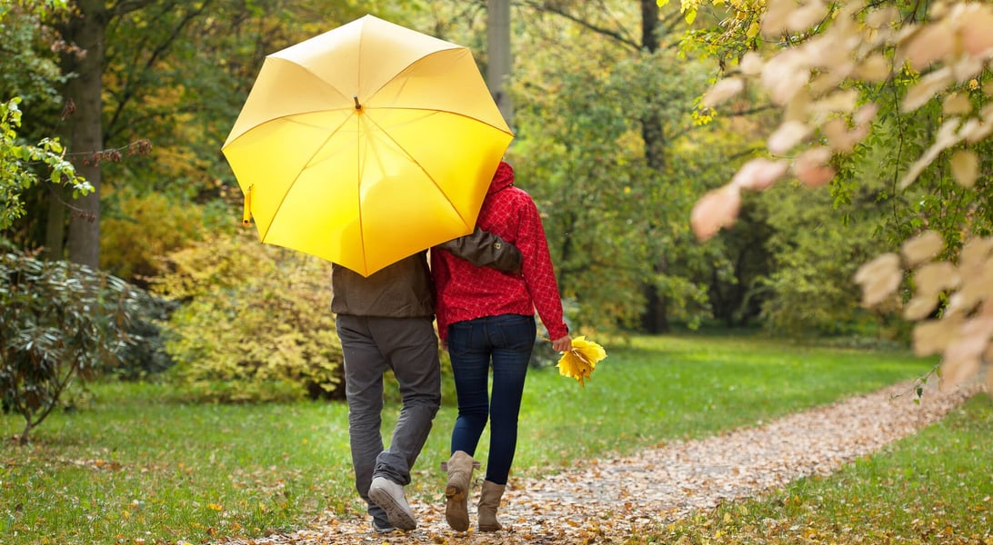 National Nylon Stocking Day (May 15th) | Days Of The Year