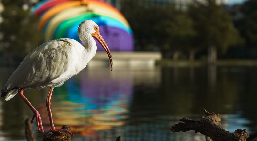 Glorious Twelfth (August 12th) | Days Of The Year