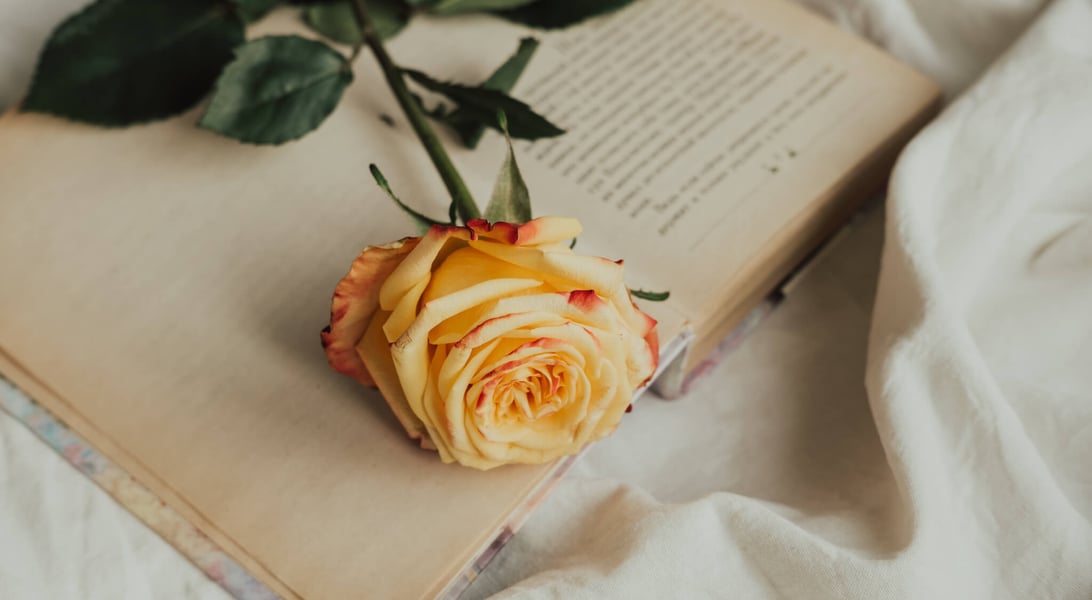 Kelly Ripa's birthday (Oct 2nd, 1970) | Days Of The Year