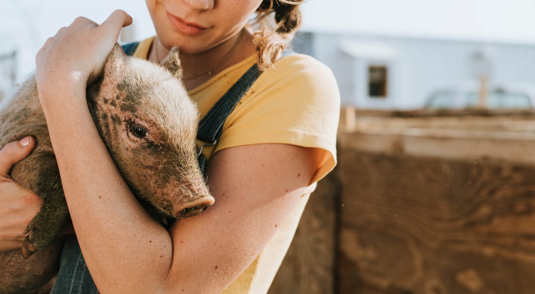 Firefly Day (April 24th) | Days Of The Year