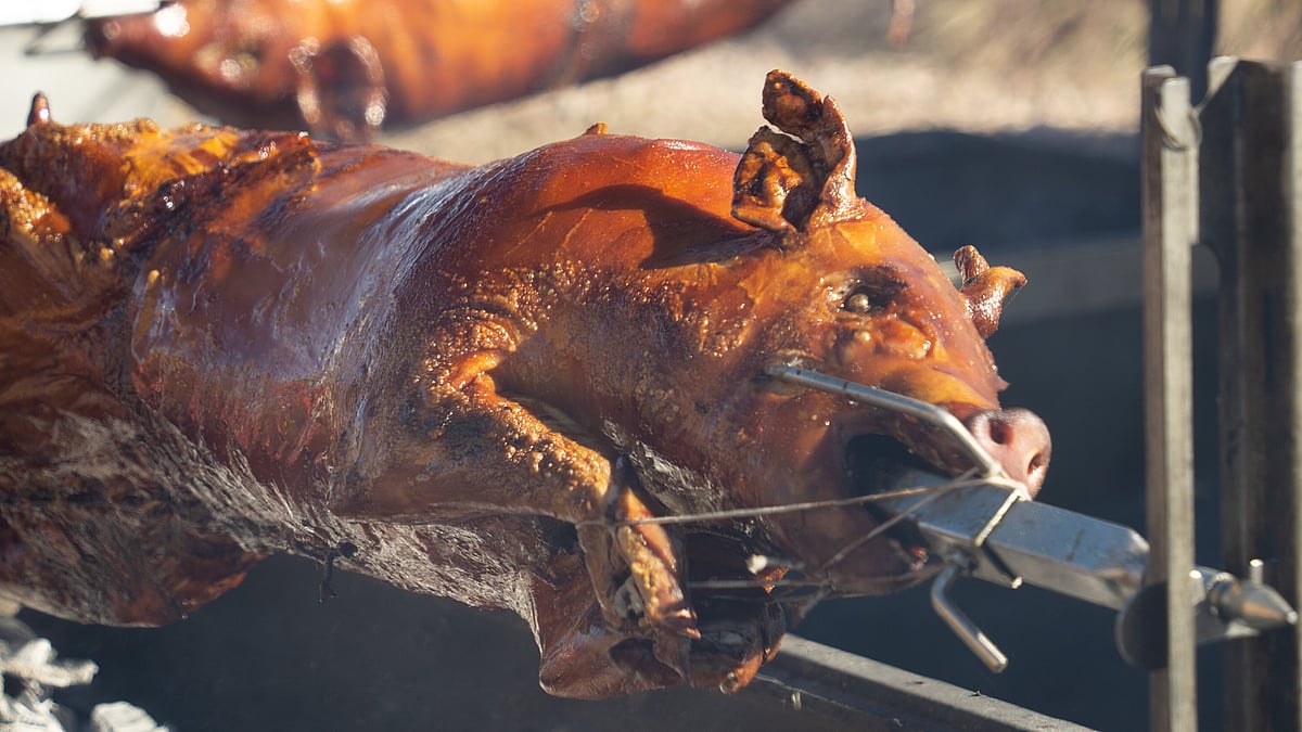 National Whole Hog Barbecue Day (October 18th, 2025) | Days Of The Year
