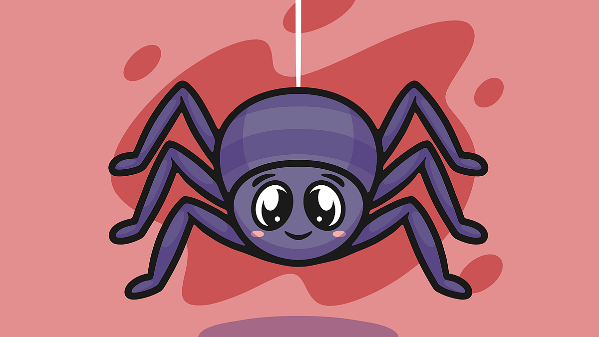 Save a Spider Day (March 14th) | Days Of The Year