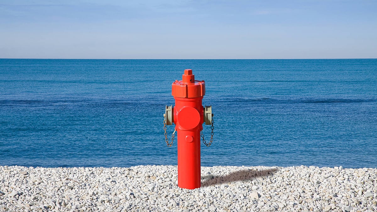 National Absurdity Day (November 20th) | Days Of The Year