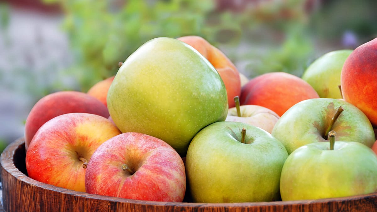 National Apple Day (October 21st) | Days Of The Year