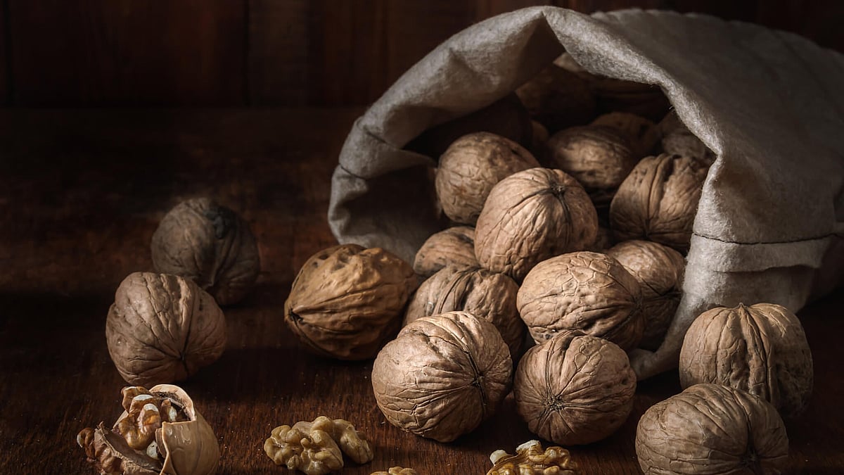 National Walnut Day (May 17th) | Days Of The Year