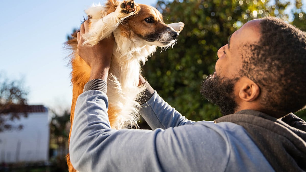 Bond With Your Dog Day (May 14th) | Days Of The Year