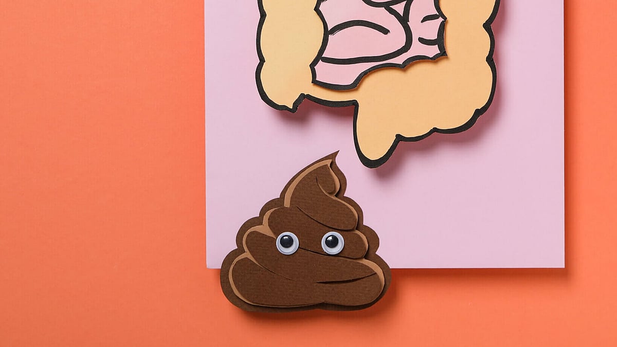National Poop Day (February 9th, 2026) | Days Of The Year