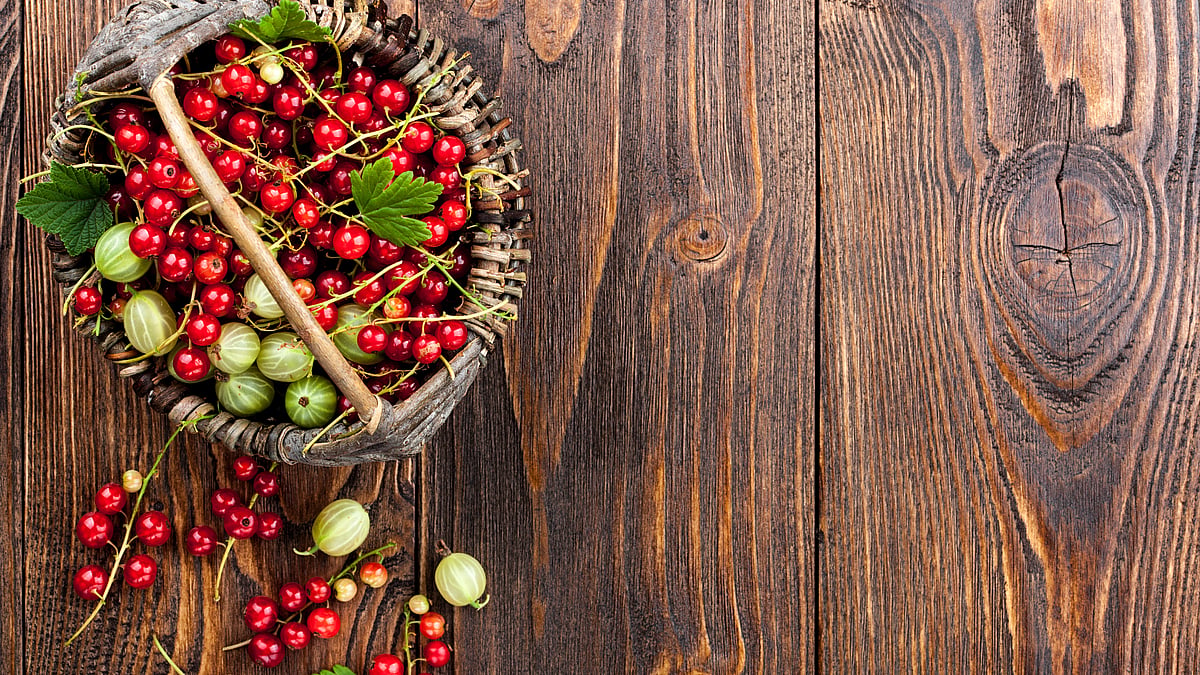 Cranberries and Gooseberries Month (April 2026) | Days Of The Year