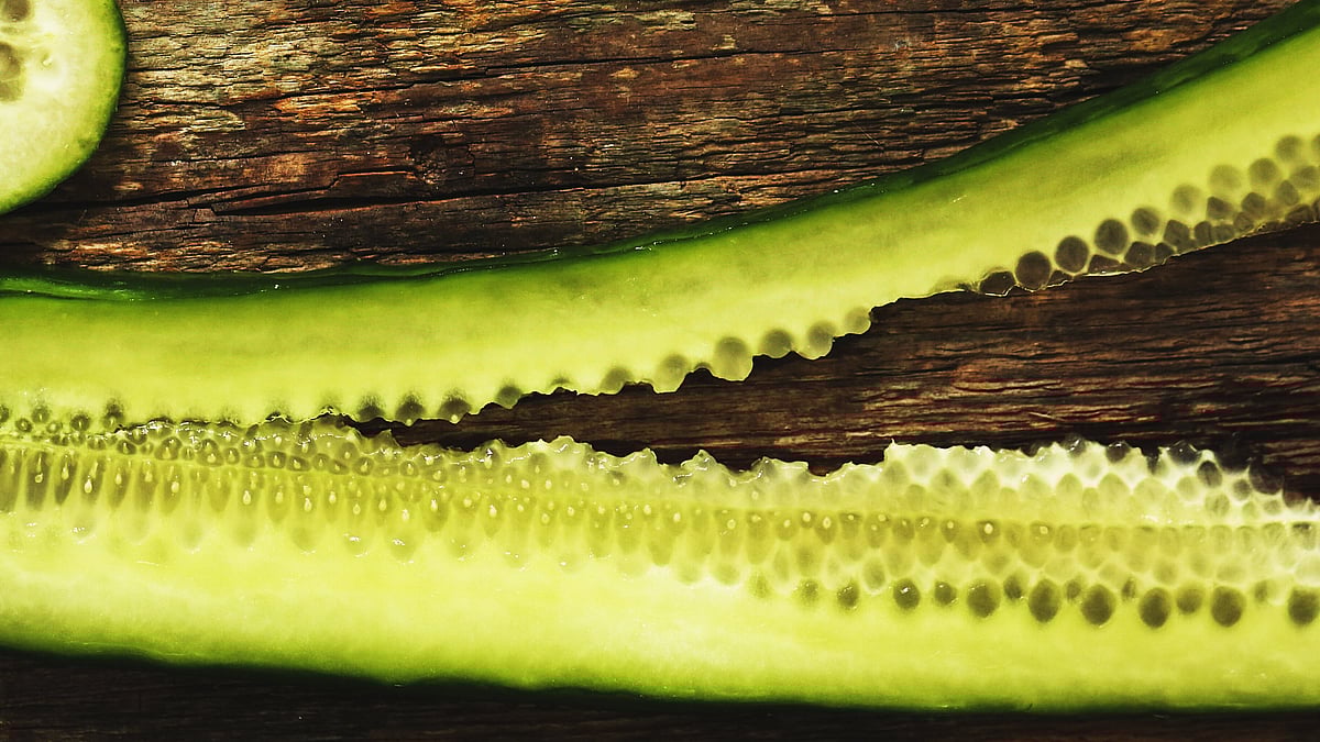 Cucumber Day (June 14th) | Days Of The Year