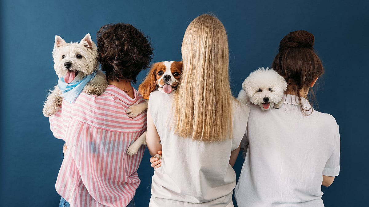 Dog Appreciation Month (April 2026) | Days Of The Year