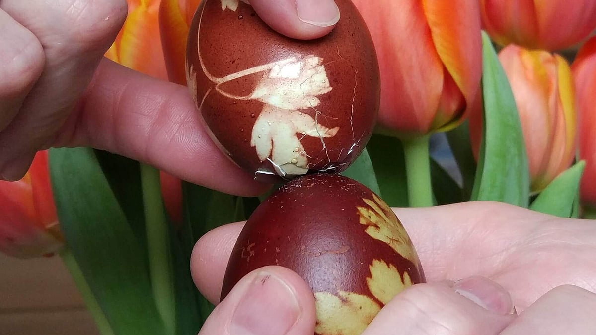 Egg Cracking Competition (April 12th, 2026) | Days Of The Year