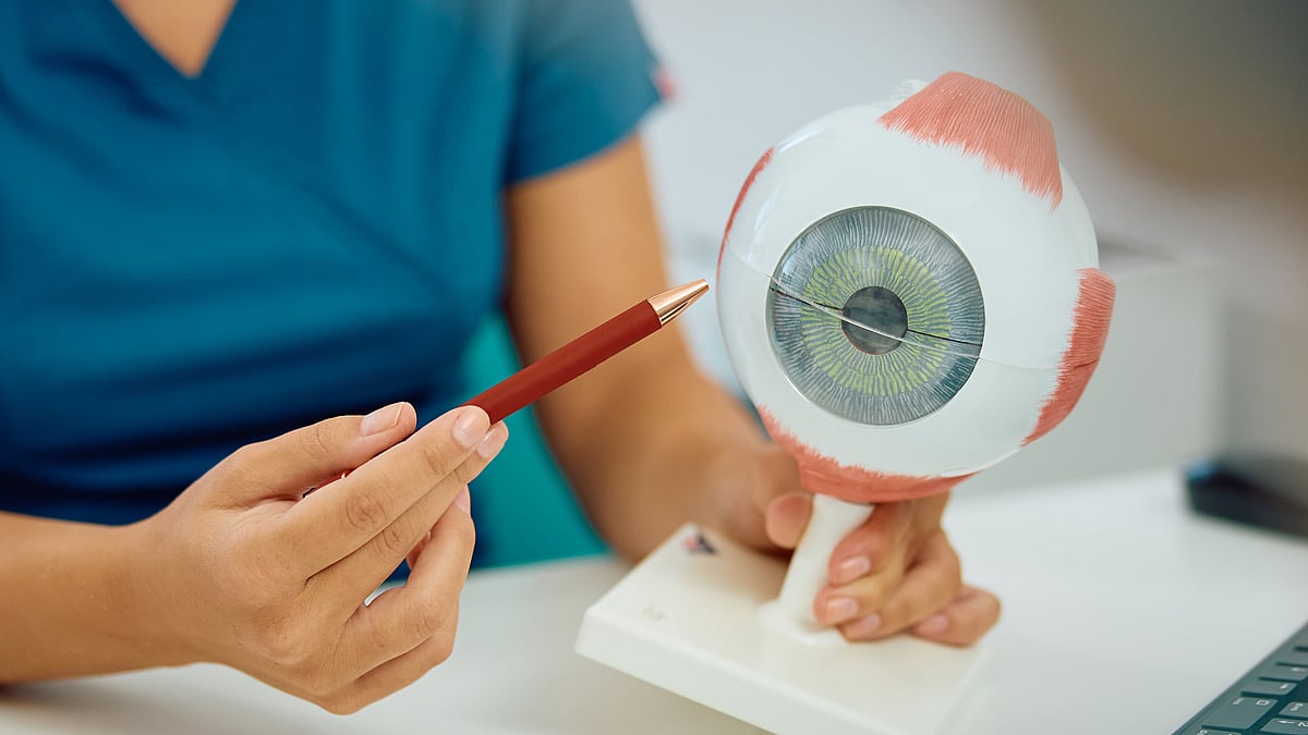 Eye Donor Awareness Month (November 2025) | Days Of The Year