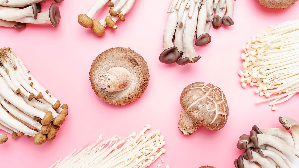 National Mushroom Month (September 2026) | Days Of The Year