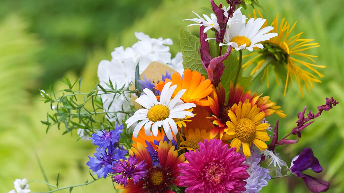 National Floral Design Day (February 28th) | Days Of The Year