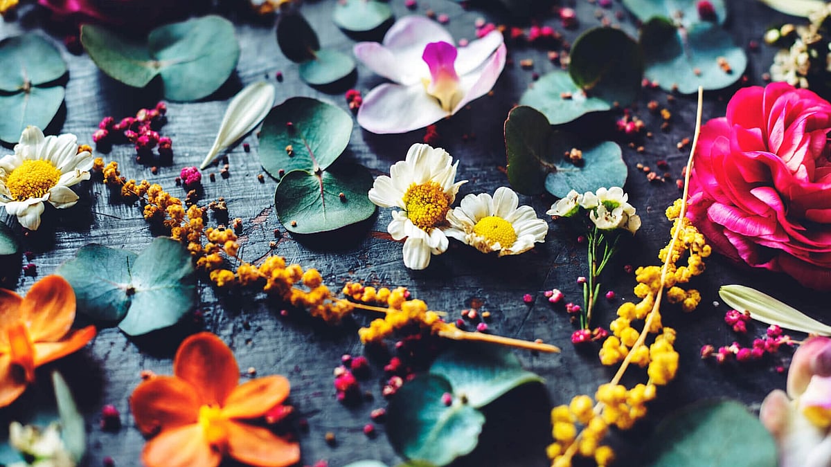 Flower Day (March 21st) | Days Of The Year