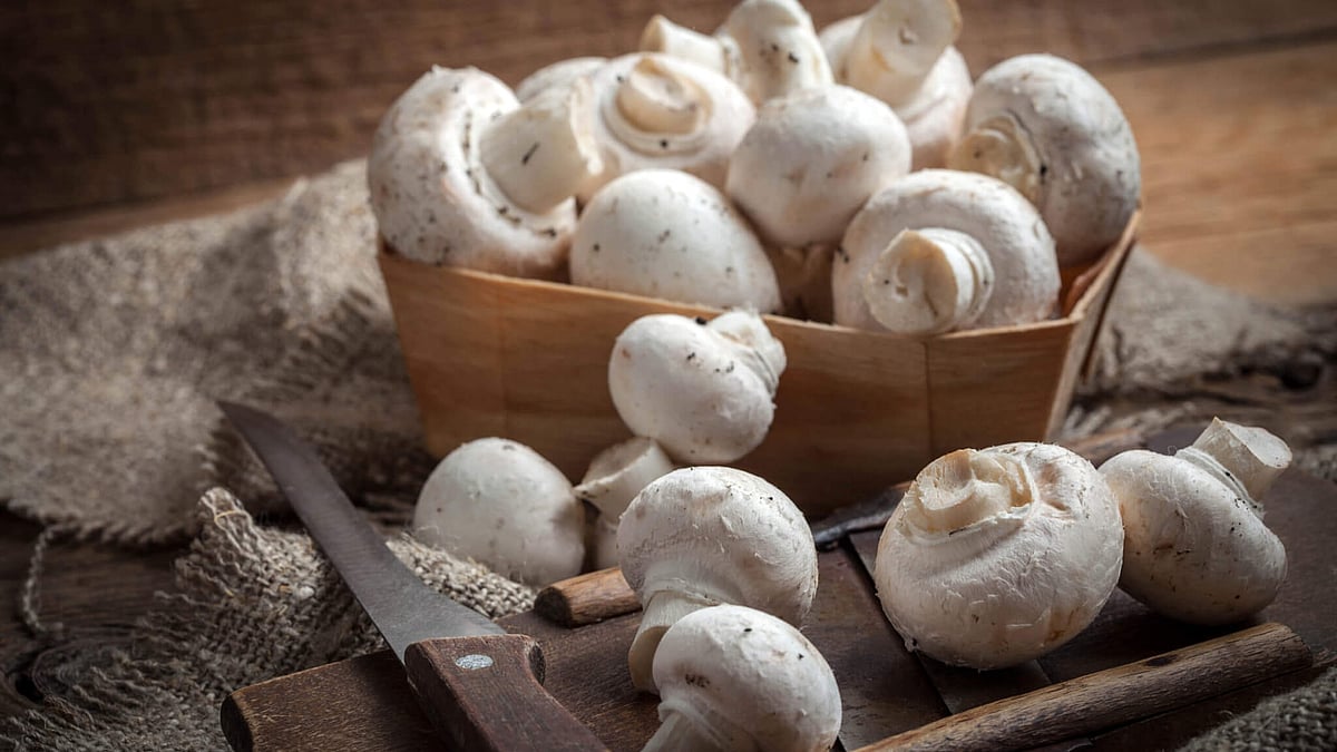 National Mushroom Day (October 15th) | Days Of The Year