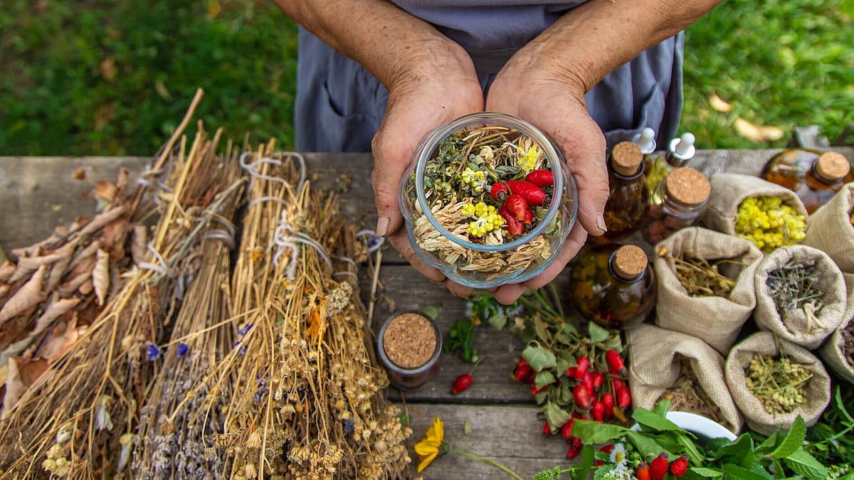 Herb Day (May 3rd, 2025) | Days Of The Year