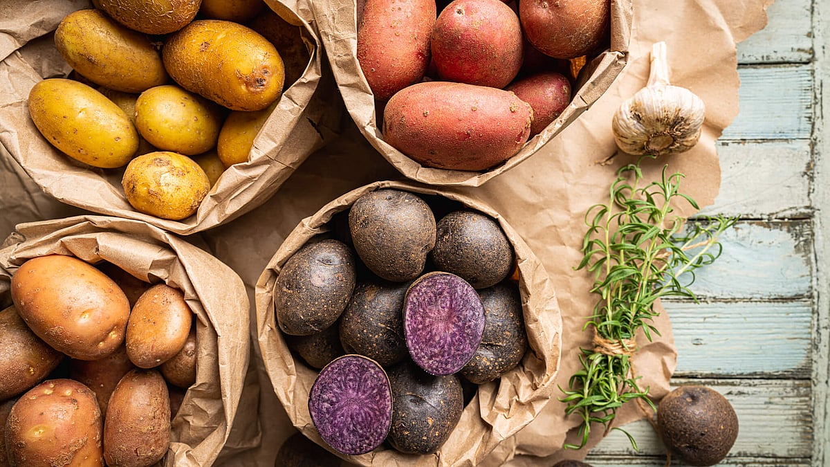 International Day of the Potato (May 30th) | Days Of The Year