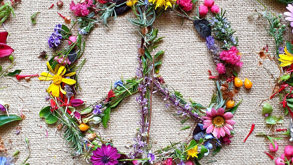 International Peace Month (August 2026) | Days Of The Year