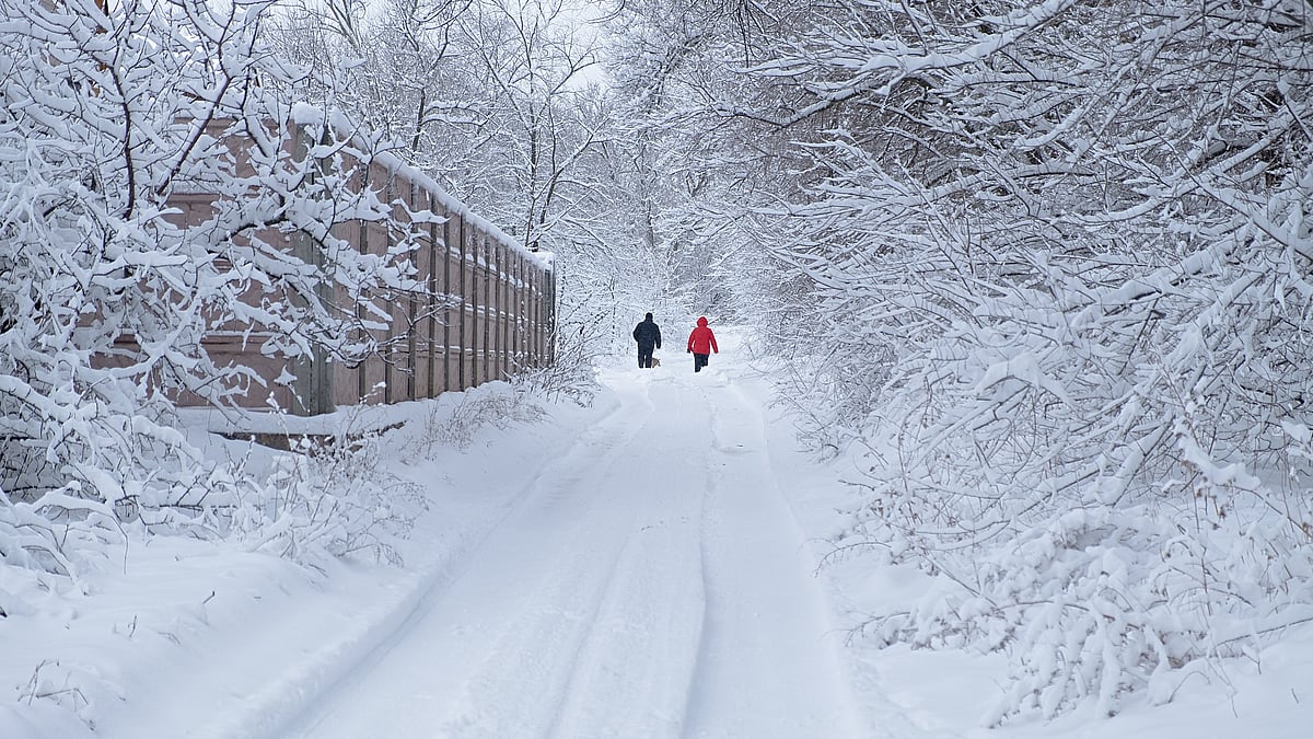 Islander Day (February 16th, 2026) | Days Of The Year