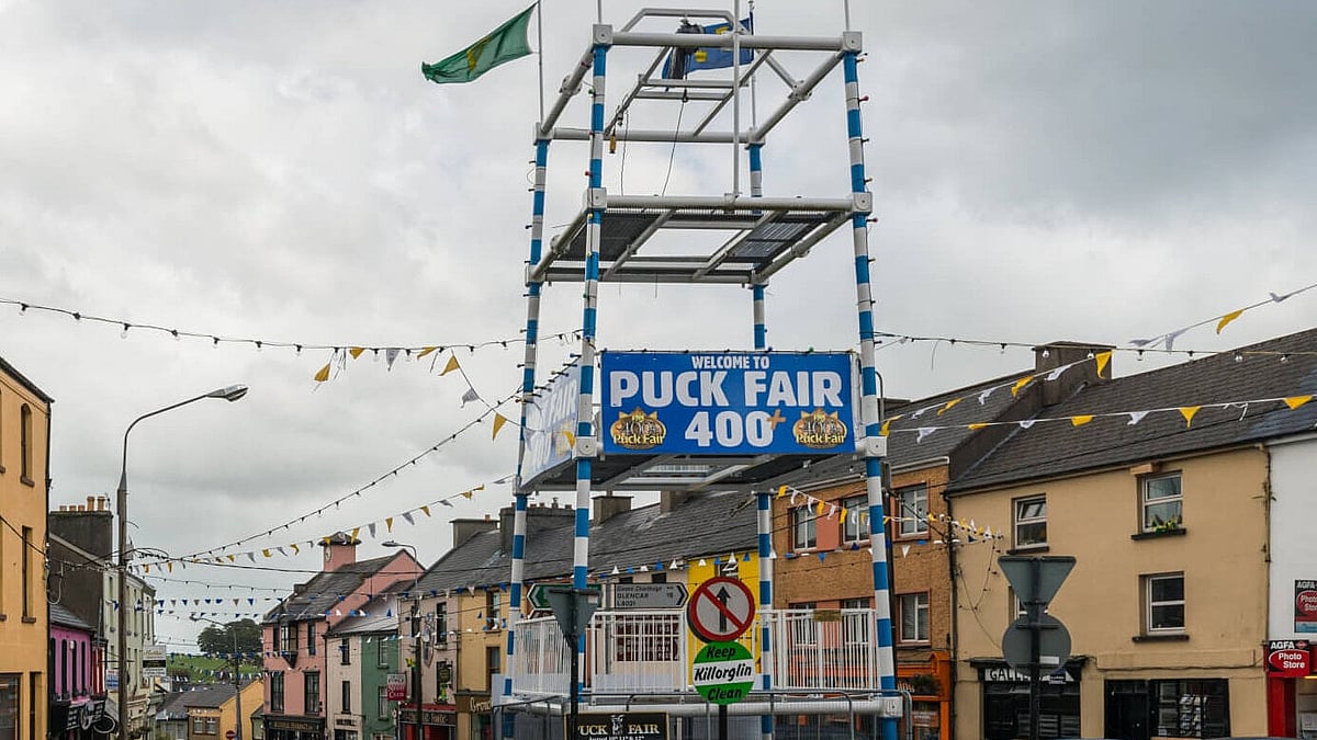 Puck Fair (Aug 10th to Aug 12th) | Days Of The Year