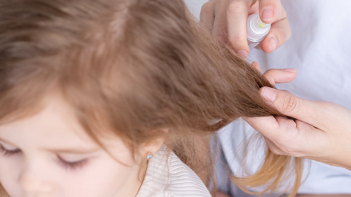 National Bug Busting Day (June 15th) | Days Of The Year