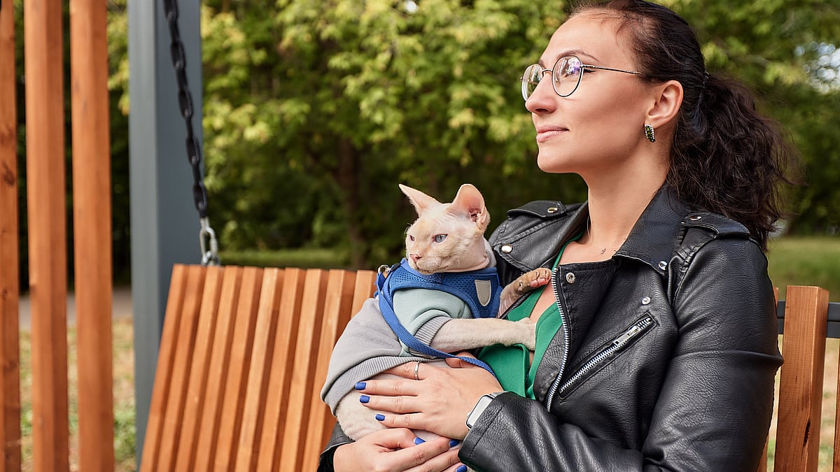 National Cat Lovers' Month (December 2026) | Days Of The Year